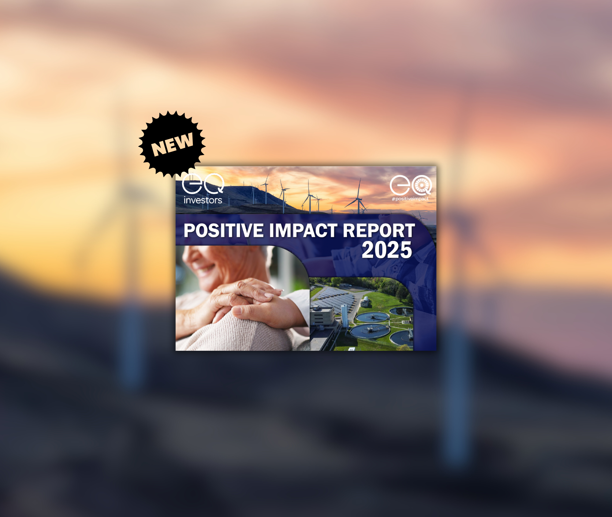 EQ Individuals | Positive Impact Report 2025 - EQ Investors