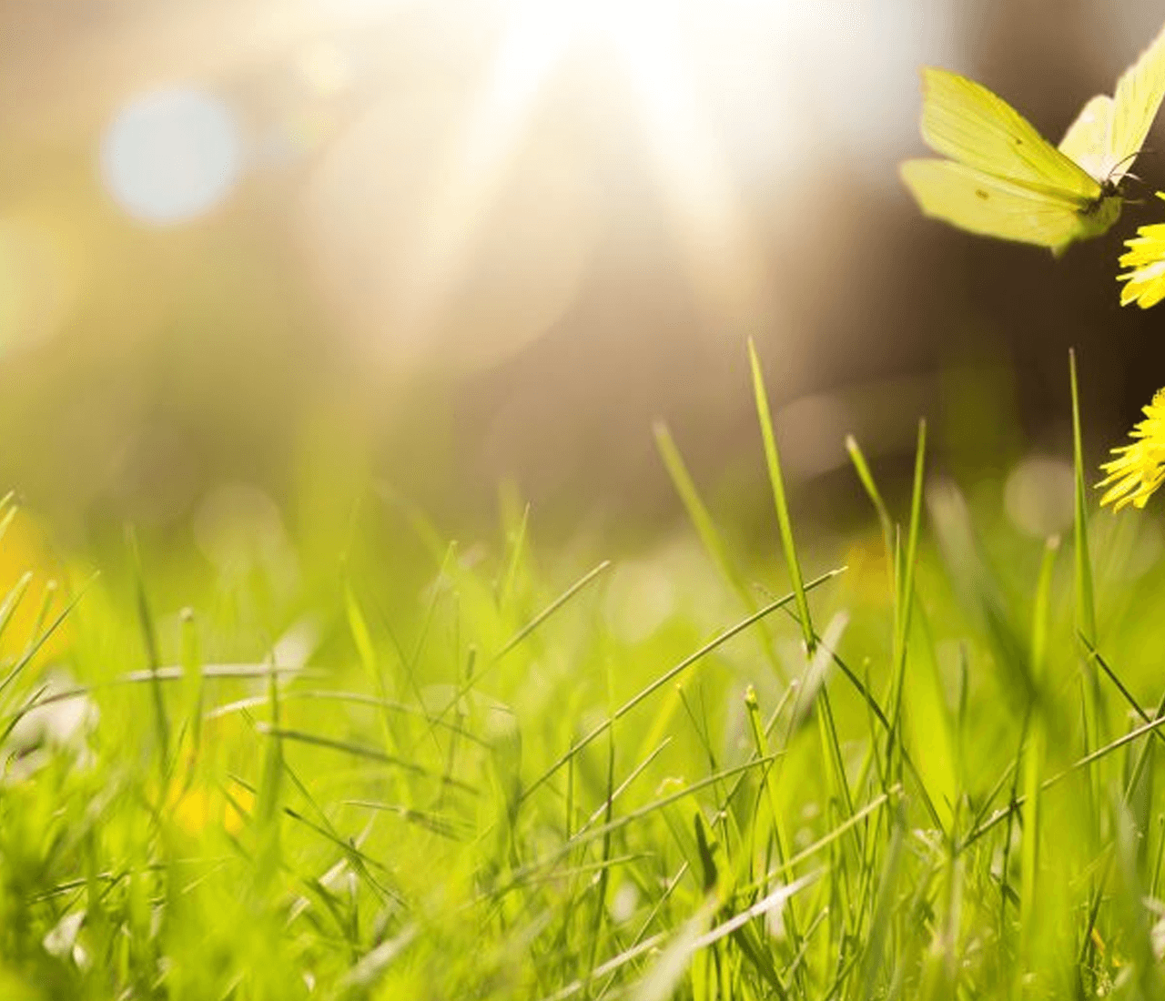 EQ Individuals | Spring Statement in brief: what you need to know - EQ ...