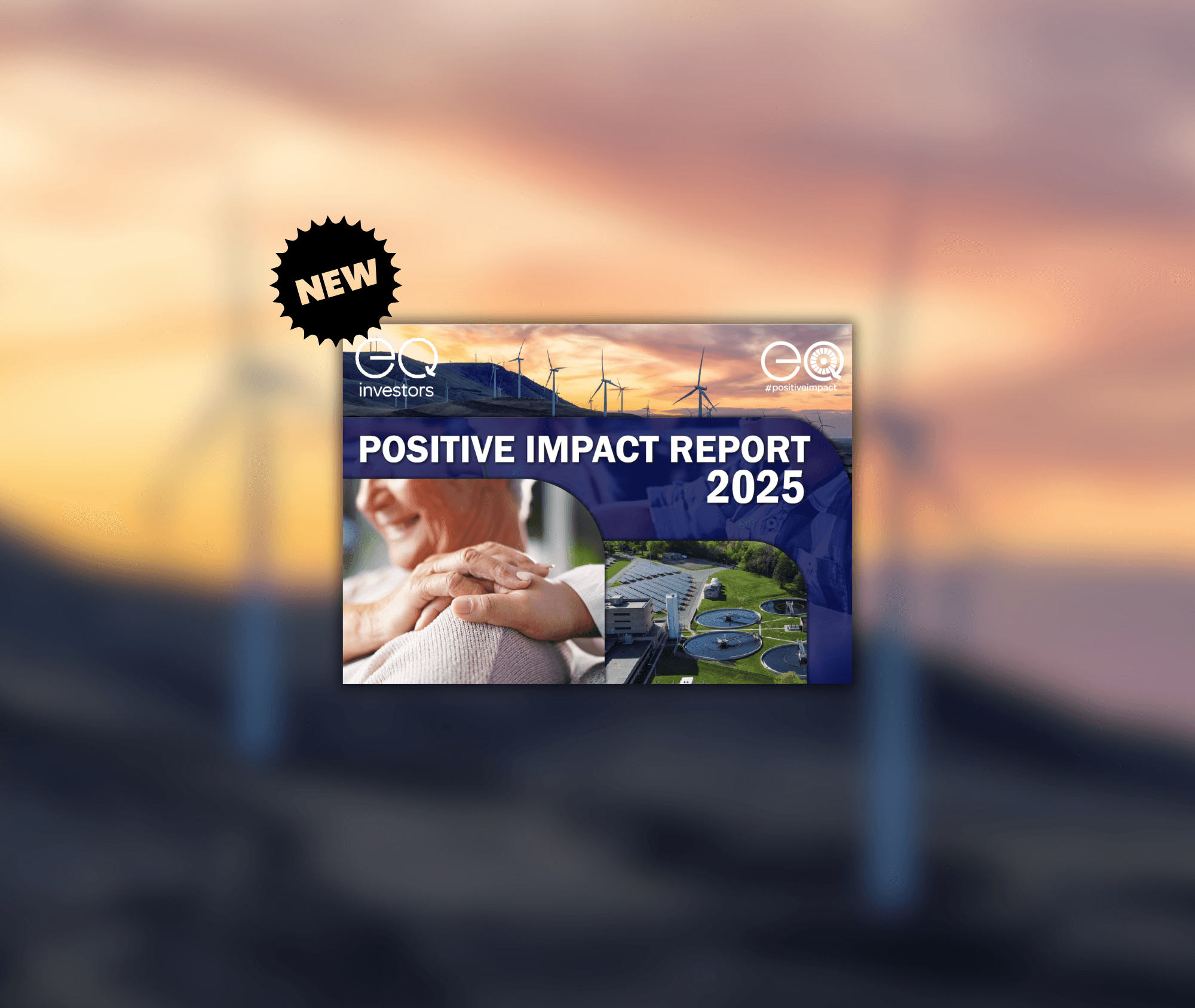 EQ Individuals | 5 Star Defaqto Rating 2025 - EQ Investors